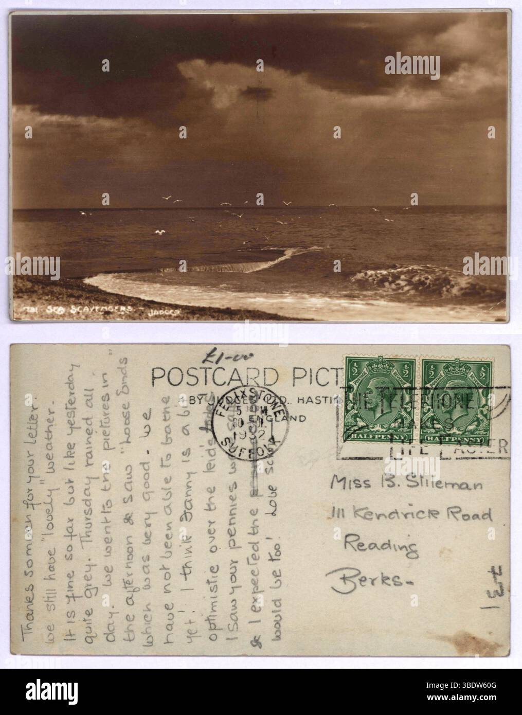 Judges' Postcard 731. SEA SCAVENGERS. JUDGES’ Stock Photo - Alamy