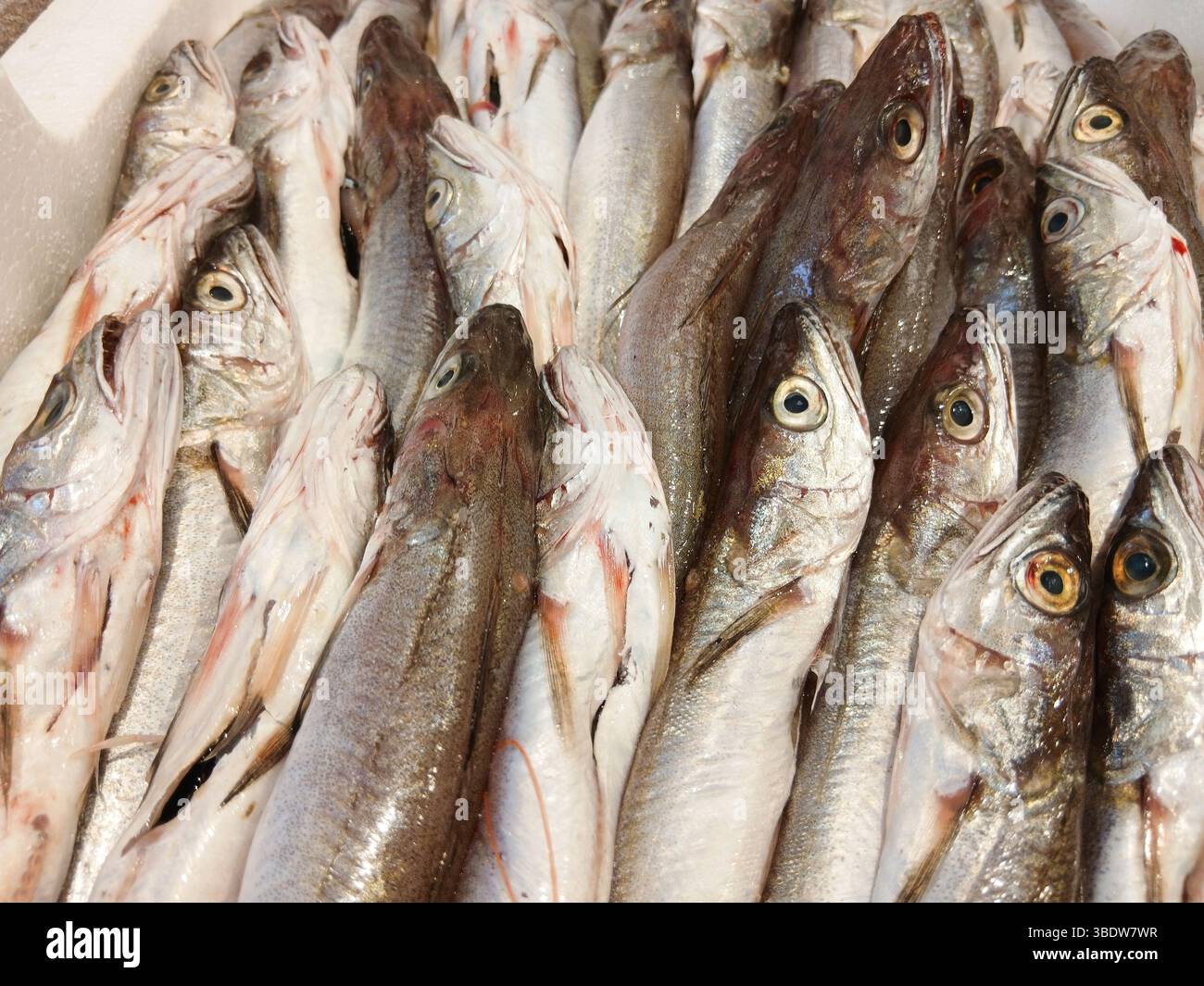Fresh fish on display at a fish market, ready for sale Stock Photo - Alamy