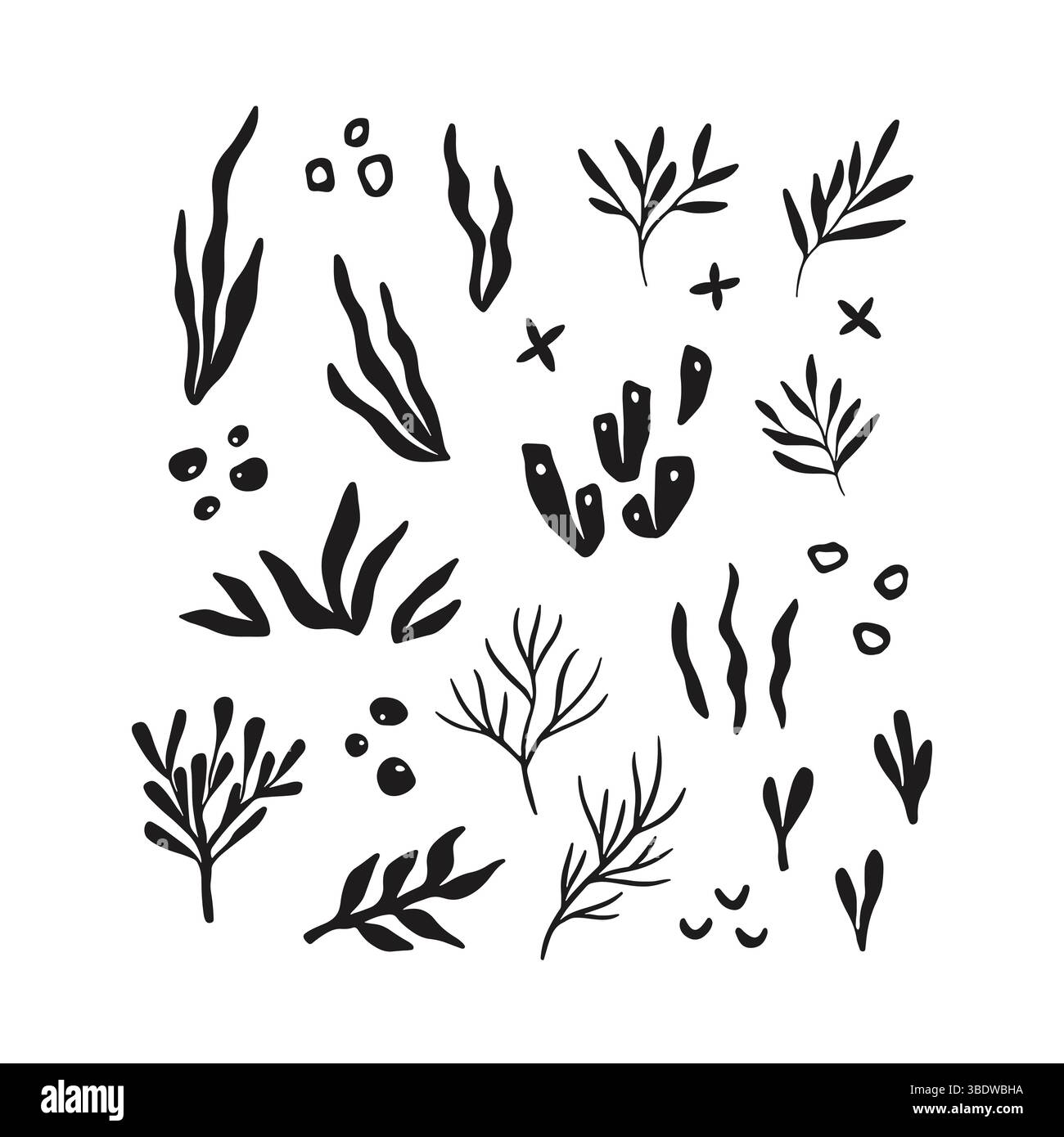 Hand drawn corals seaweed Stock Vector Images - Alamy