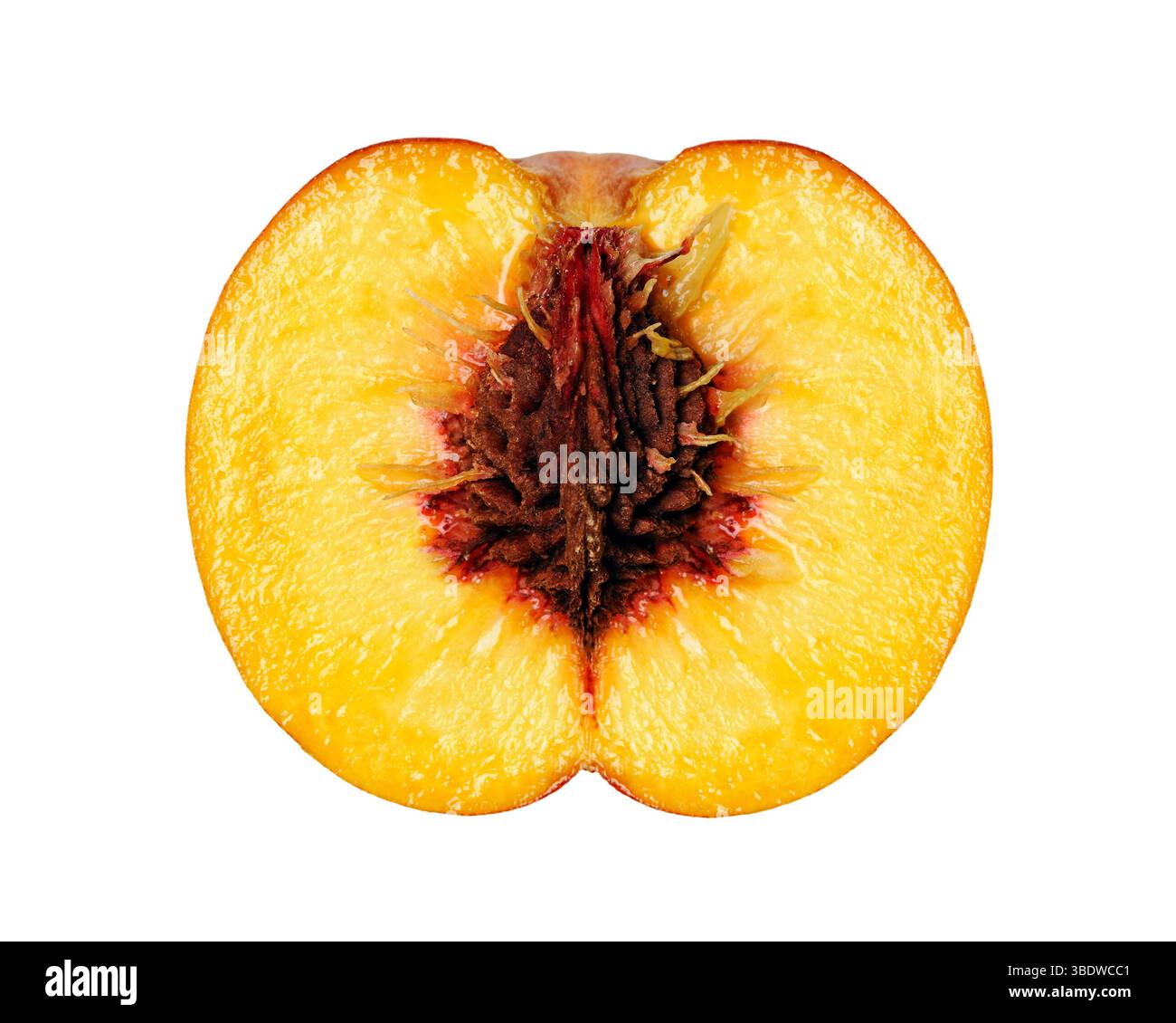 Fresh peach half isolated against a white background Stock Photo - Alamy