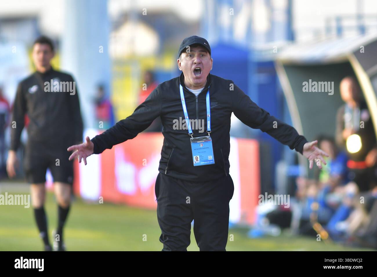 Hagi gica hi-res stock photography and images - Alamy