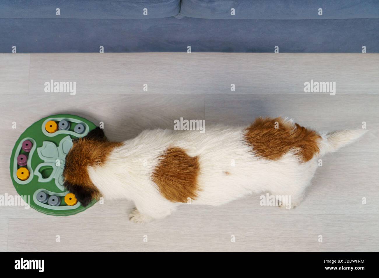Brain jack hi-res stock photography and images - Alamy