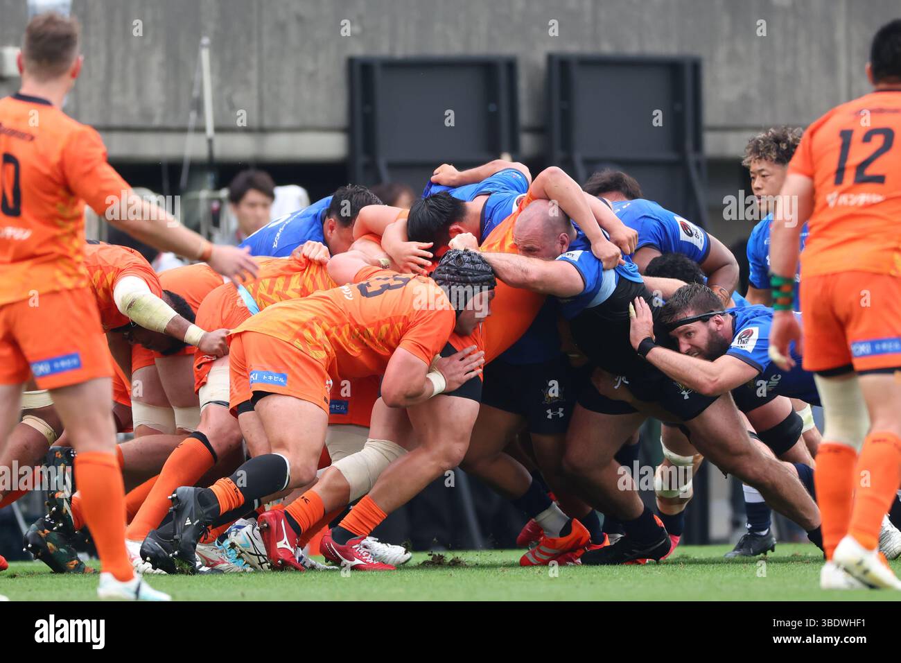 (L-R) Kubota Spears Funabashi TOKYO-BAY team group (Spears), Saitama ...