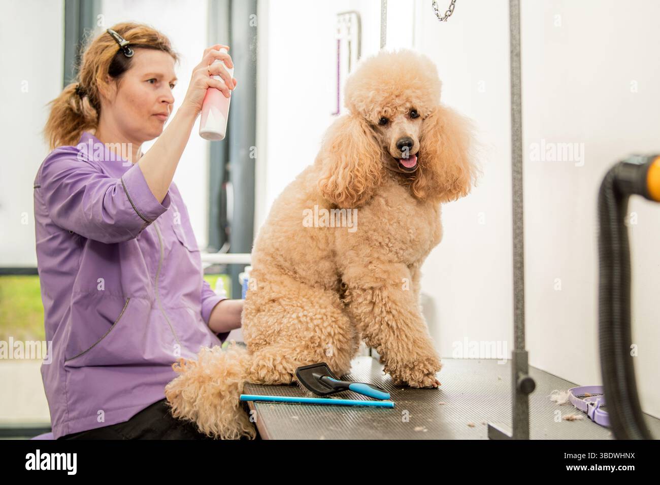Professional hair clipper grooming hi-res stock photography and images ...