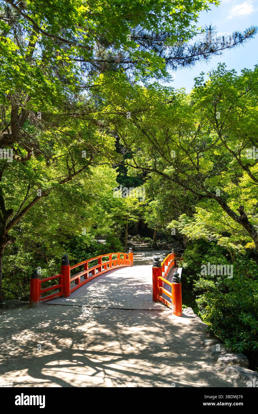 A peaceful red bridge crosses a shaded forest path on Miyajima Island ...
