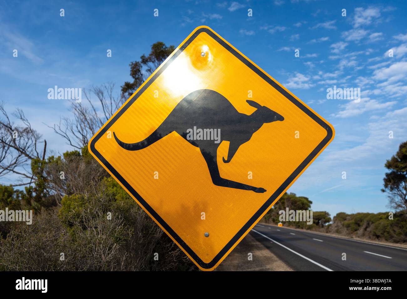 A bright yellow road sign with a kangaroo silhouette warns drivers of ...