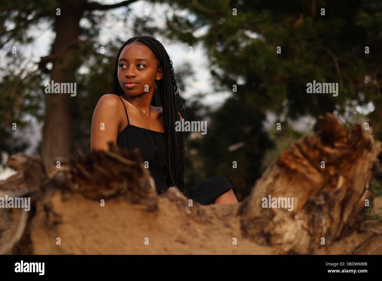 Striking young black woman in a forest Stock Photo - Alamy