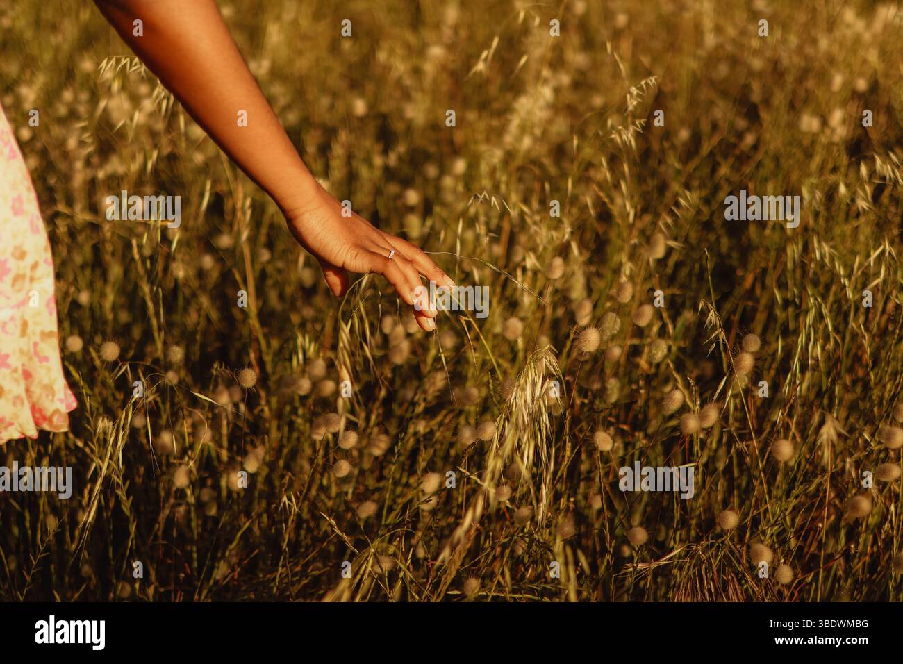 African dreams hi-res stock photography and images - Alamy