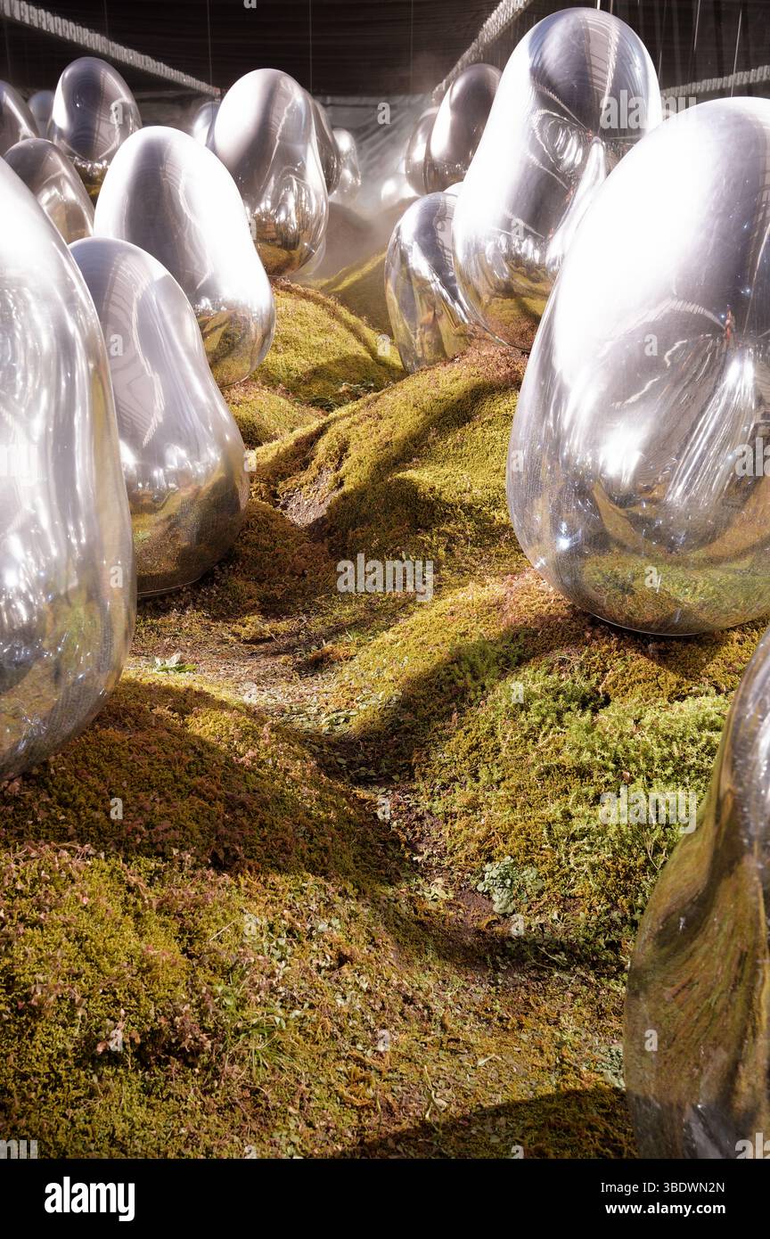 A winding path cuts through soft moss, surrounded by futuristic silver ...