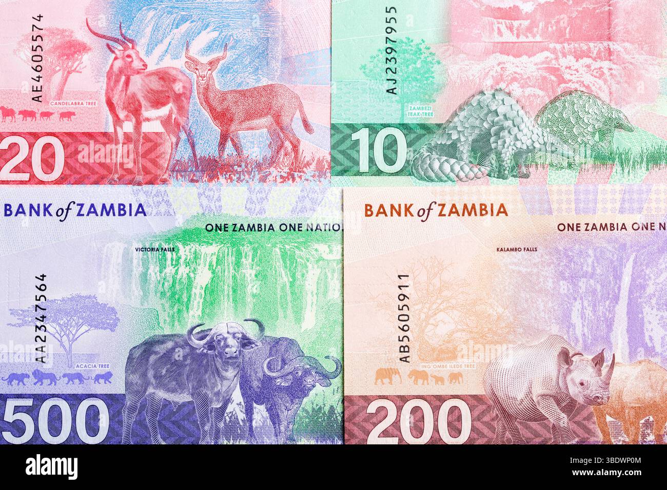 Zambian kwacha - new serie of banknotes - a business background Stock ...