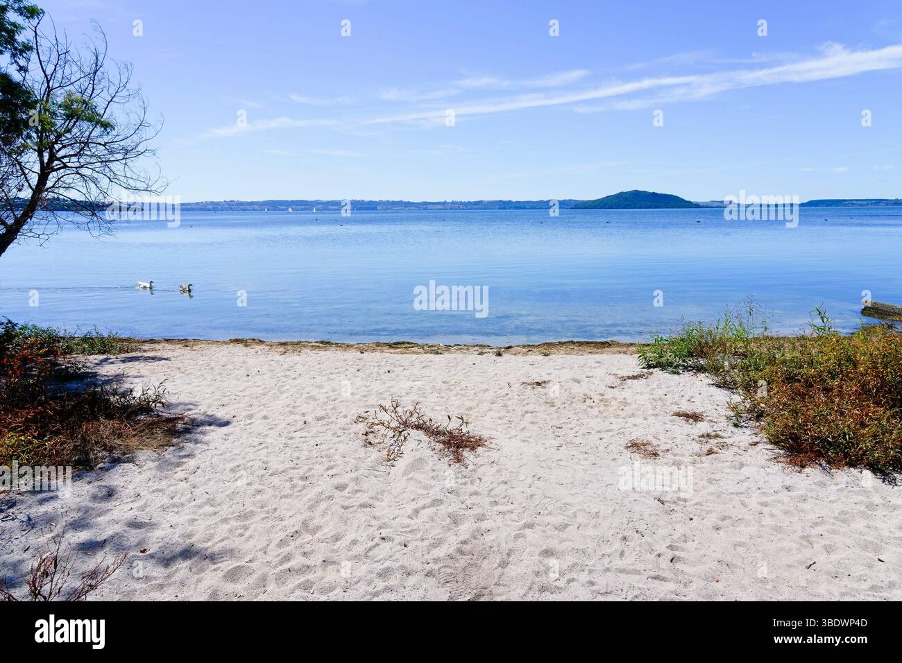 Small secluded beach beside the clear water of Lake Rotorua in New ...
