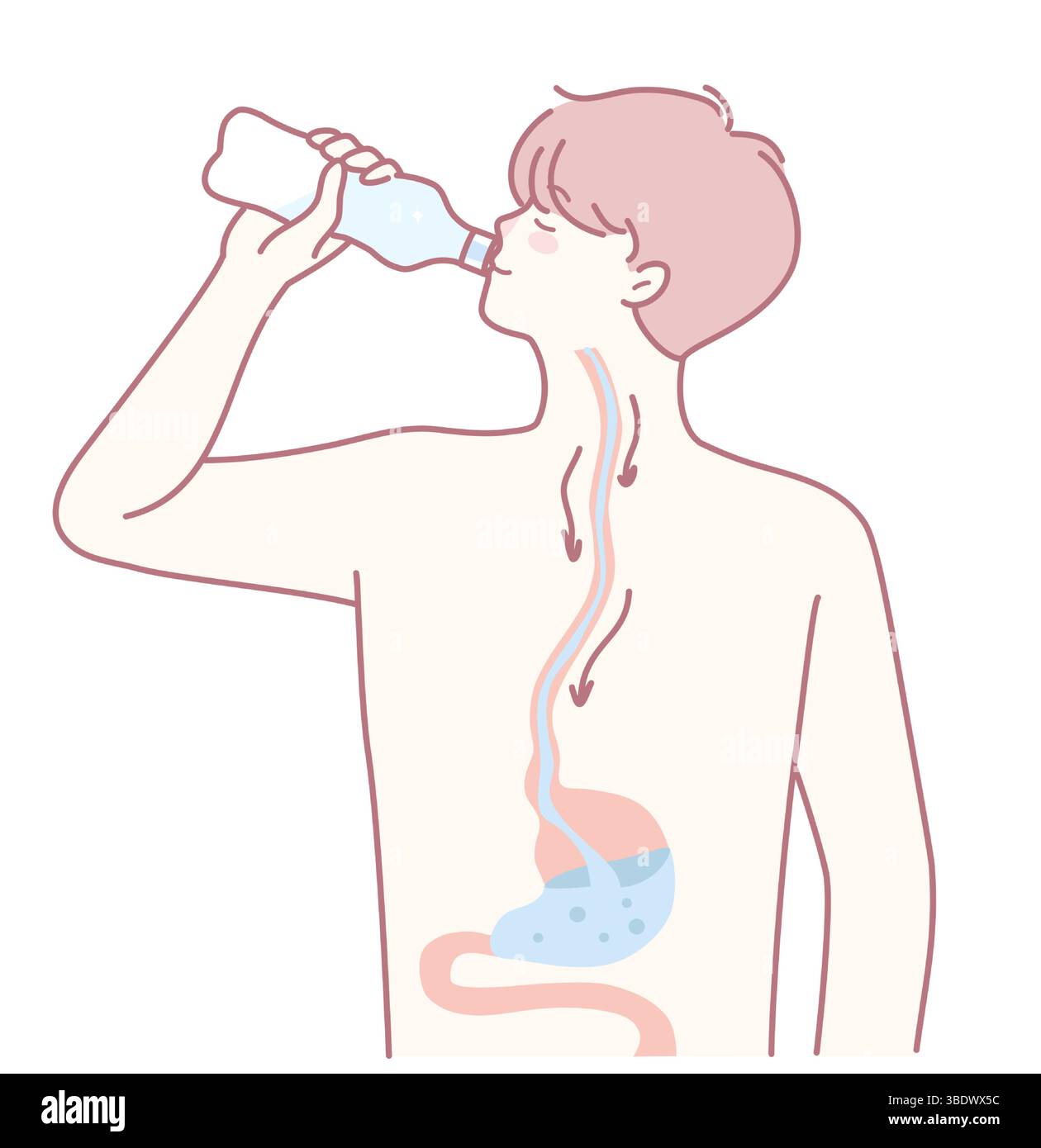 An illustration depicting the essential hydration process along with ...