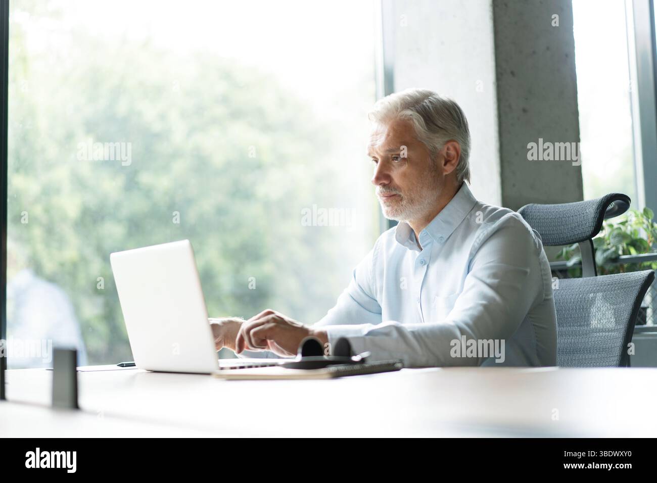 Mature 40s focused businessman, executive director working using laptop ...