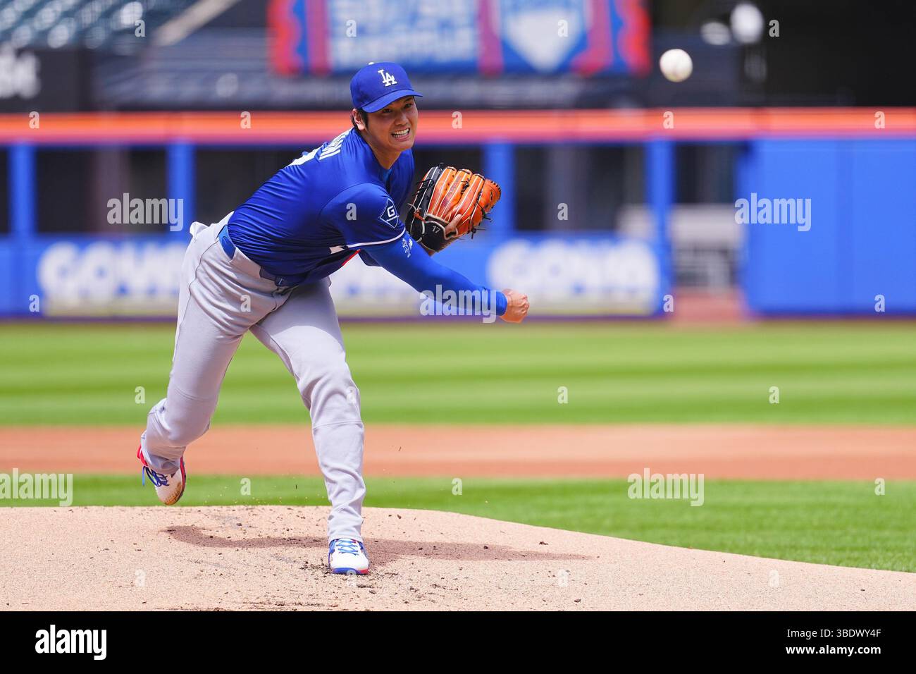 New York, USA. 25th May, 2025. Shohei Ohtani, (Dodgers), May 25, 2025 - Baseball : Shohei Ohtani ...