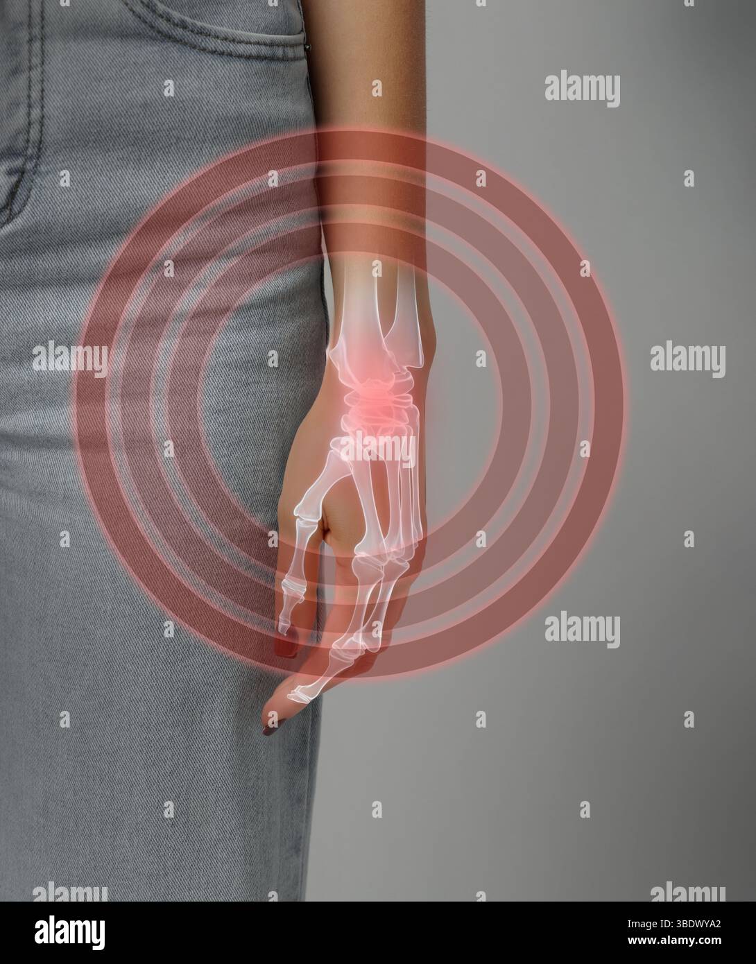 Hand and wrist anatomy illustration with highlighted joint and bone ...