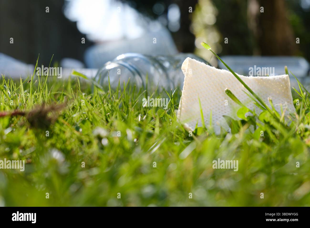 Paper waste and litter discarded on grass field outdoors Stock Photo ...