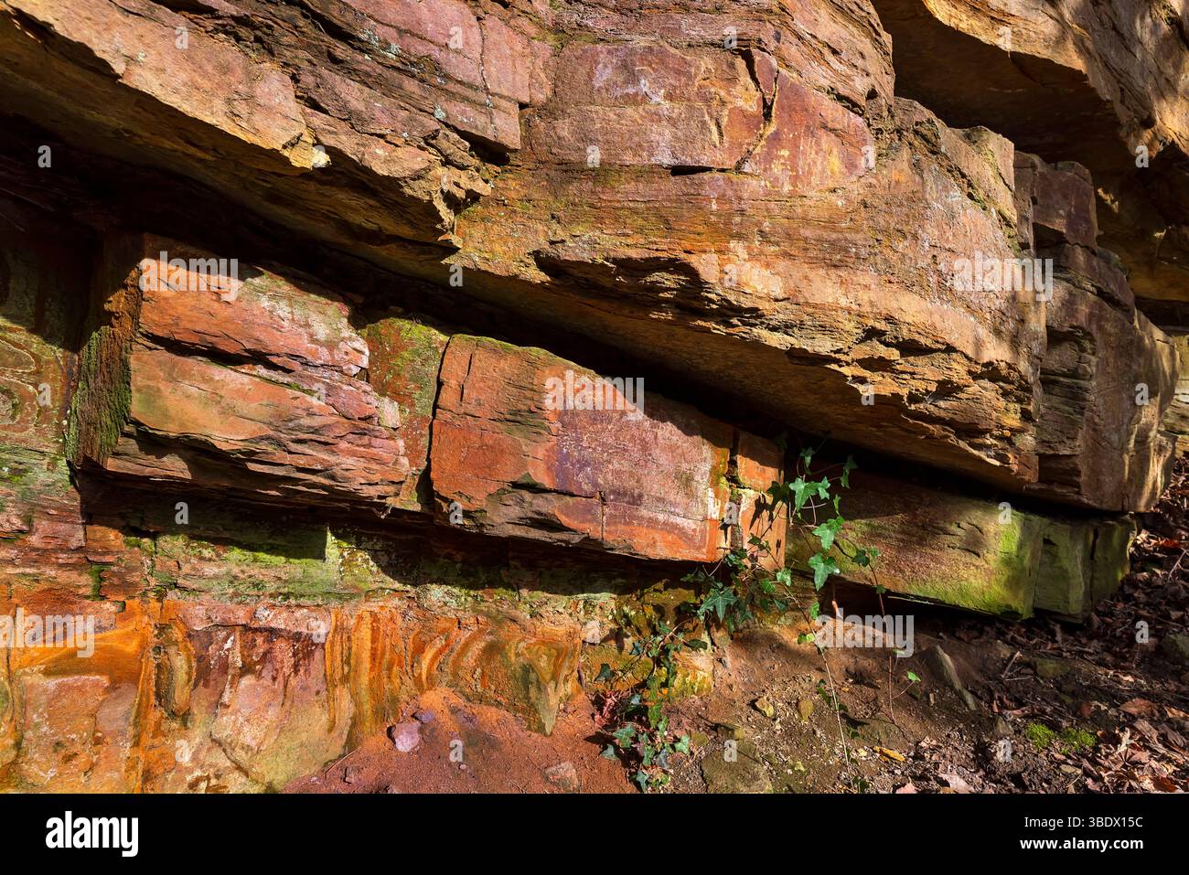 Bedded sandstone in an abandoned flagstone quarry at the entrance to ...