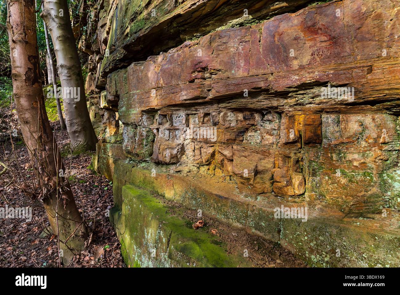 Bedded sandstone in an abandoned flagstone quarry at the entrance to ...