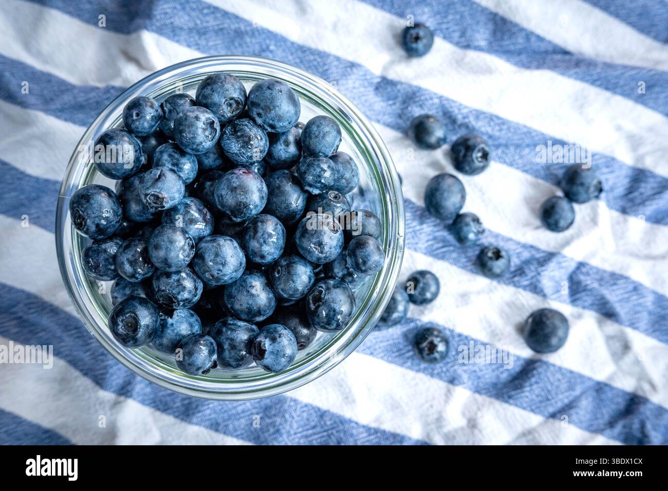 Bremen, Germany. 26th May, 2025. Blueberries, also known as bilberries ...