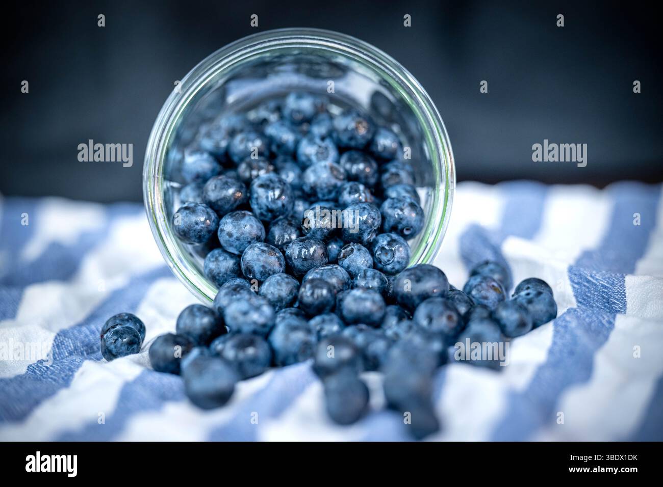 Bremen, Germany. 26th May, 2025. Blueberries, also known as bilberries ...