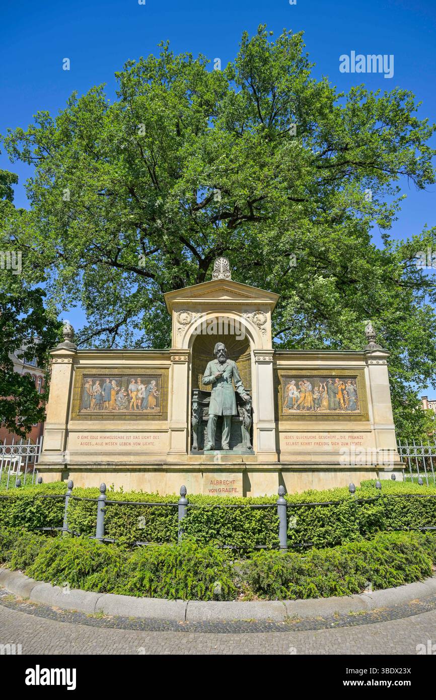Denkmal, Albrecht von Graefe, Luisenstraße, Mitte, Berlin, Deutschland ...