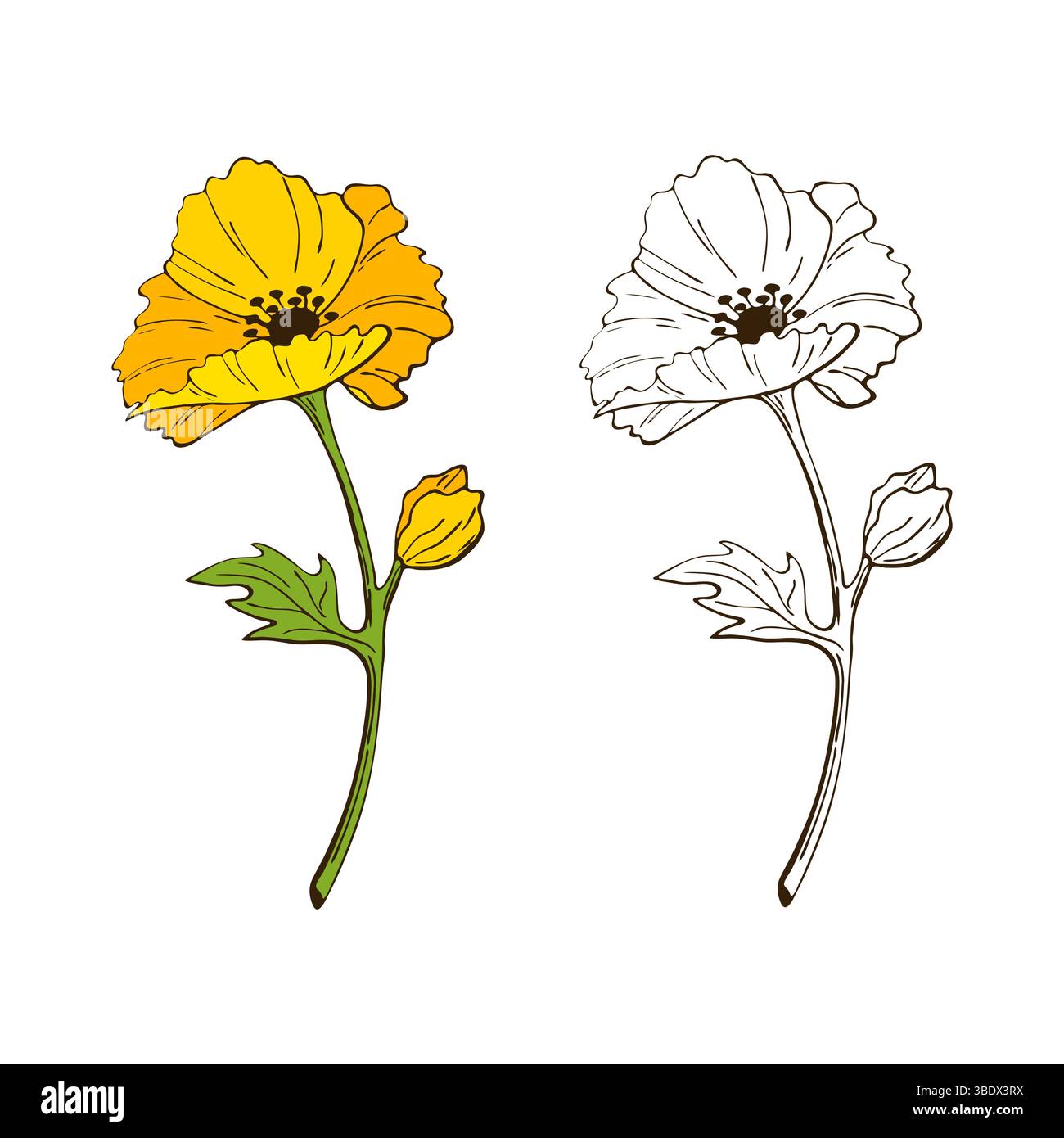 California poppy flower, contour drawing. Eschscholzia flowers. Icon ...