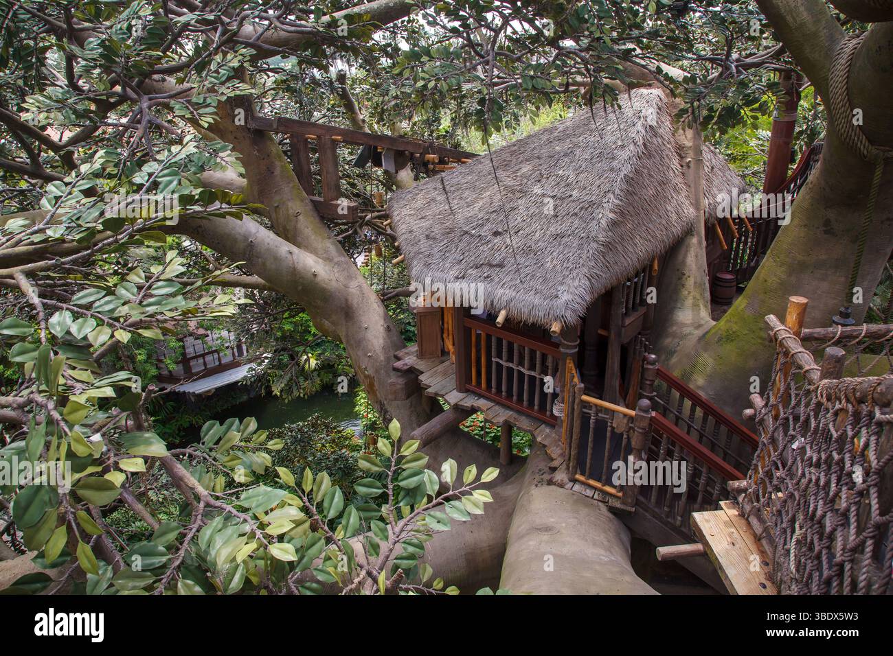 The Swiss Family treehouse in Adventureland, Magic Kingdom amusemenet ...