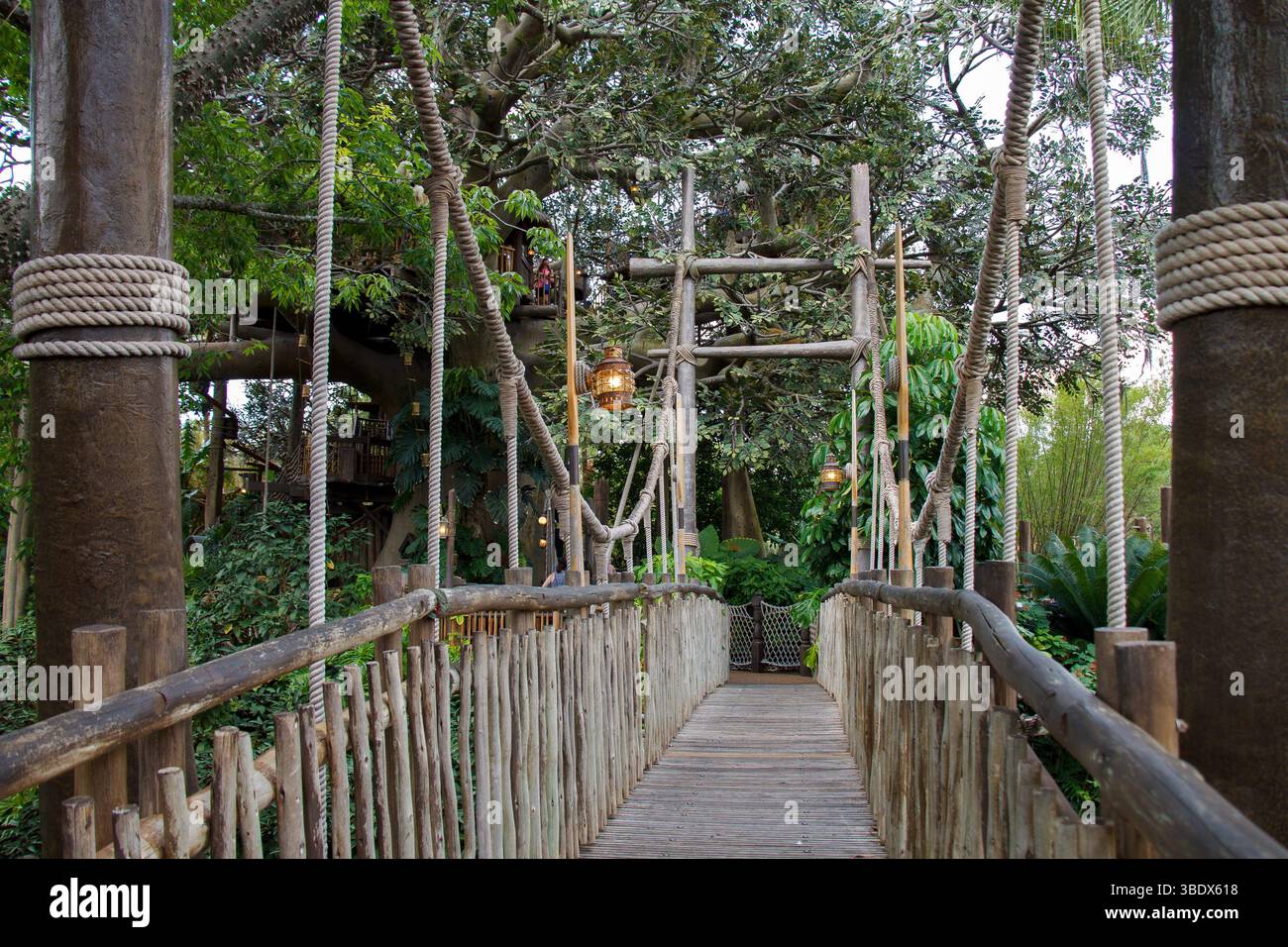 The Swiss Family treehouse in Adventureland, Magic Kingdom amusemenet ...