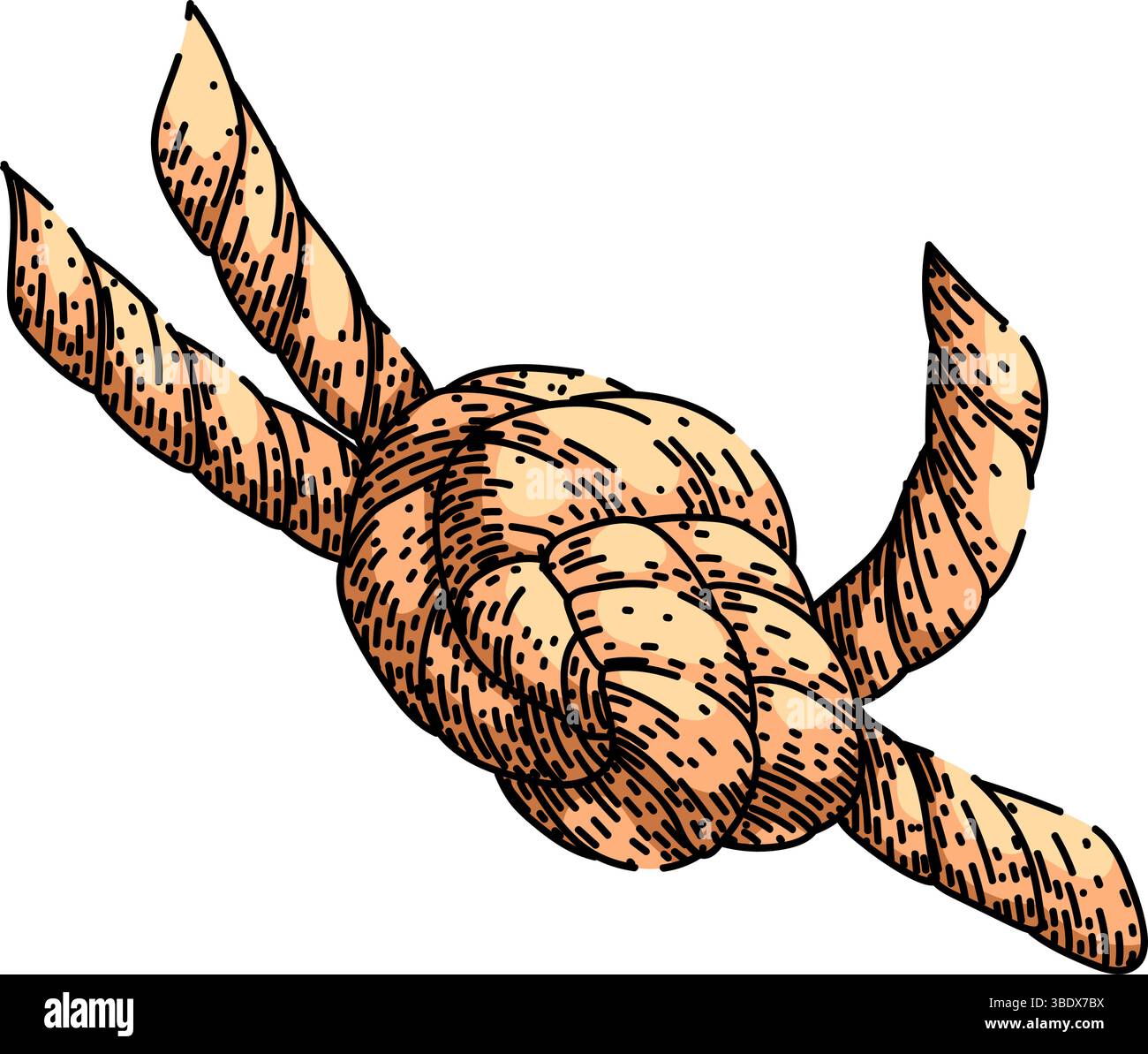 square rope knot sketch hand drawn vector Stock Vector Image & Art - Alamy