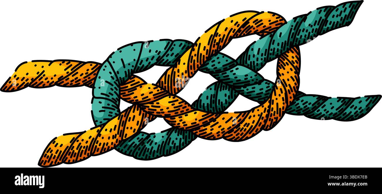 reef rope knot sketch hand drawn vector Stock Vector Image & Art - Alamy