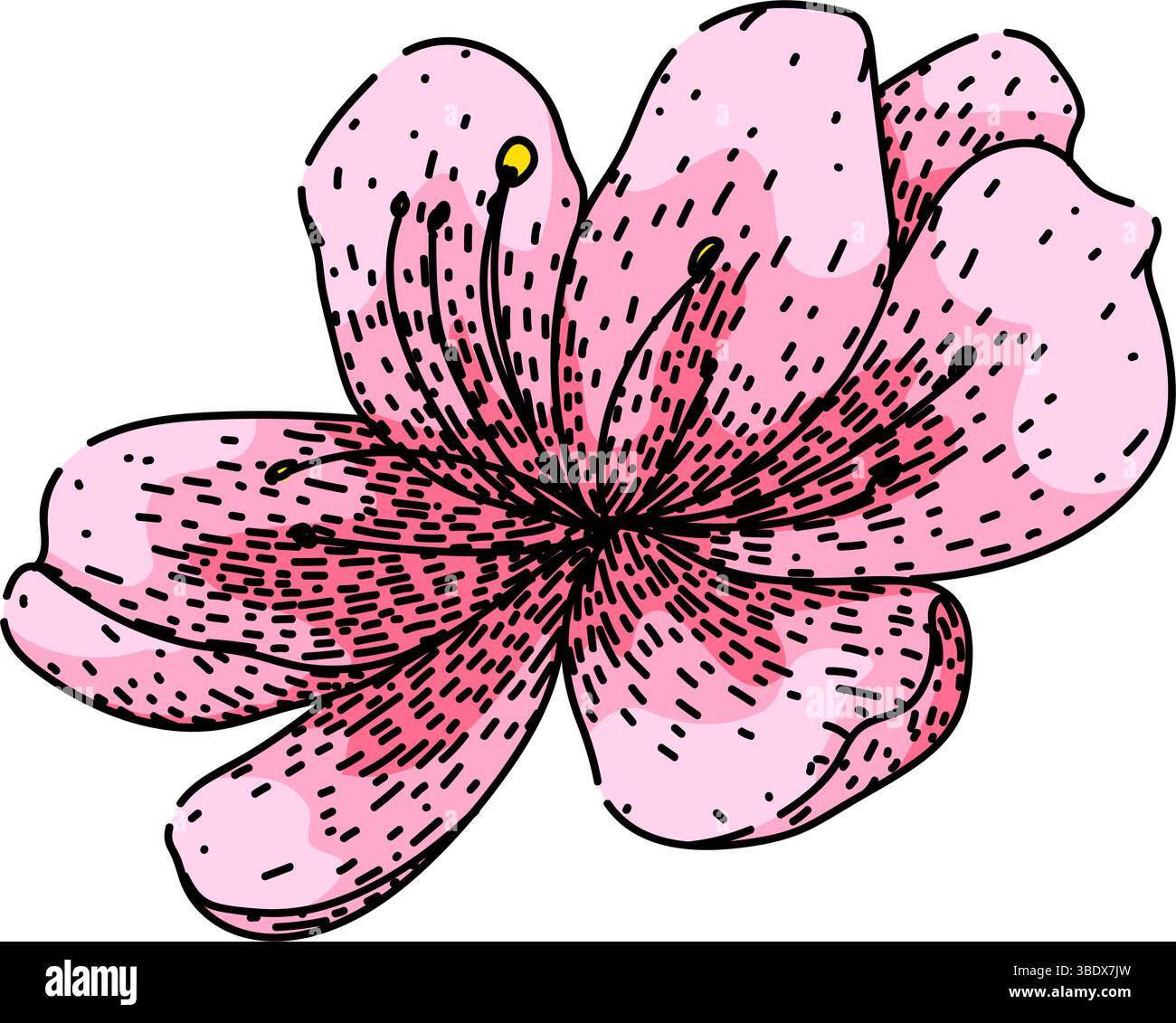 Hanami sakura Cut Out Stock Images & Pictures - Alamy
