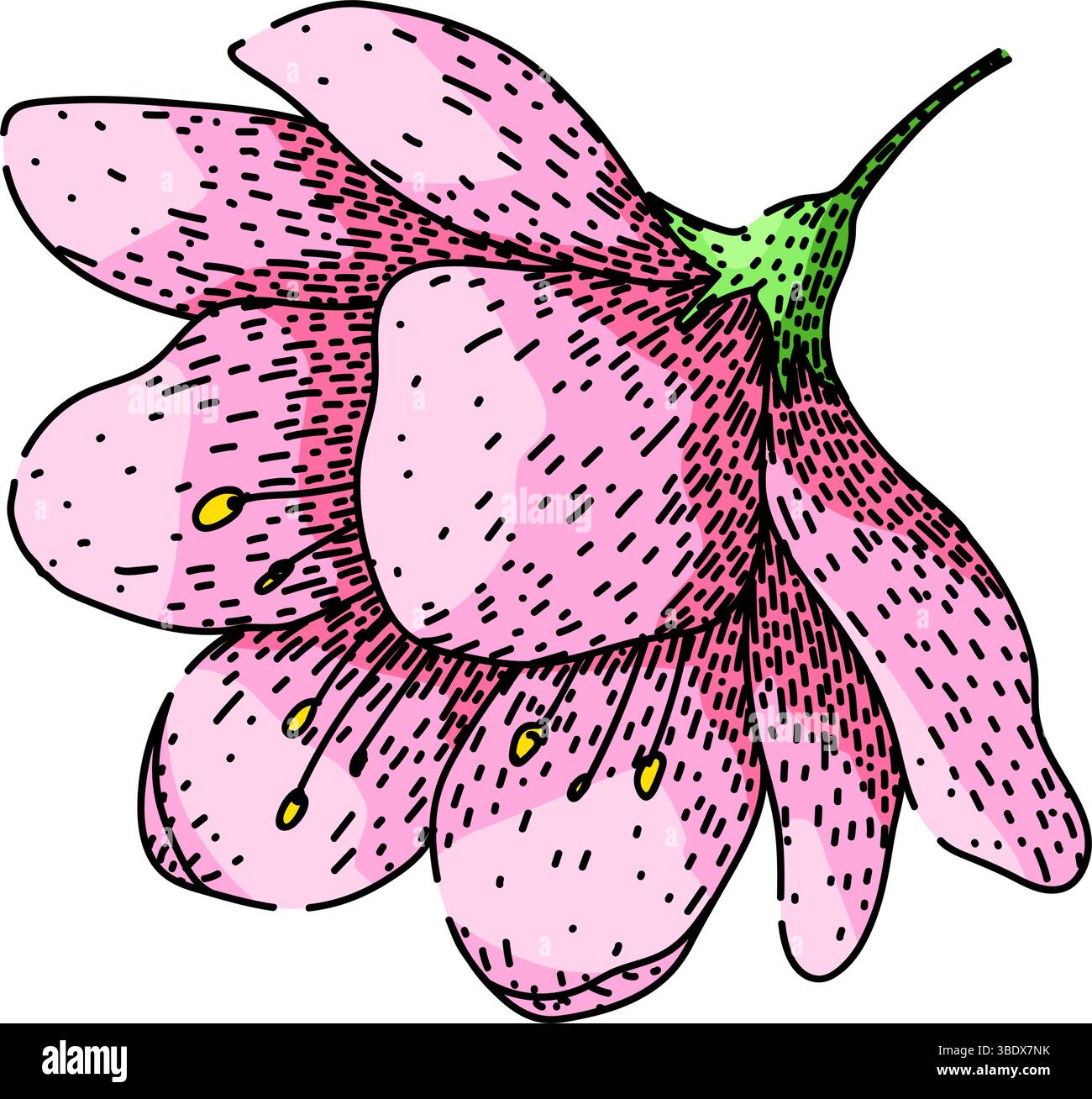 Scenic sakura japan Stock Vector Images - Alamy