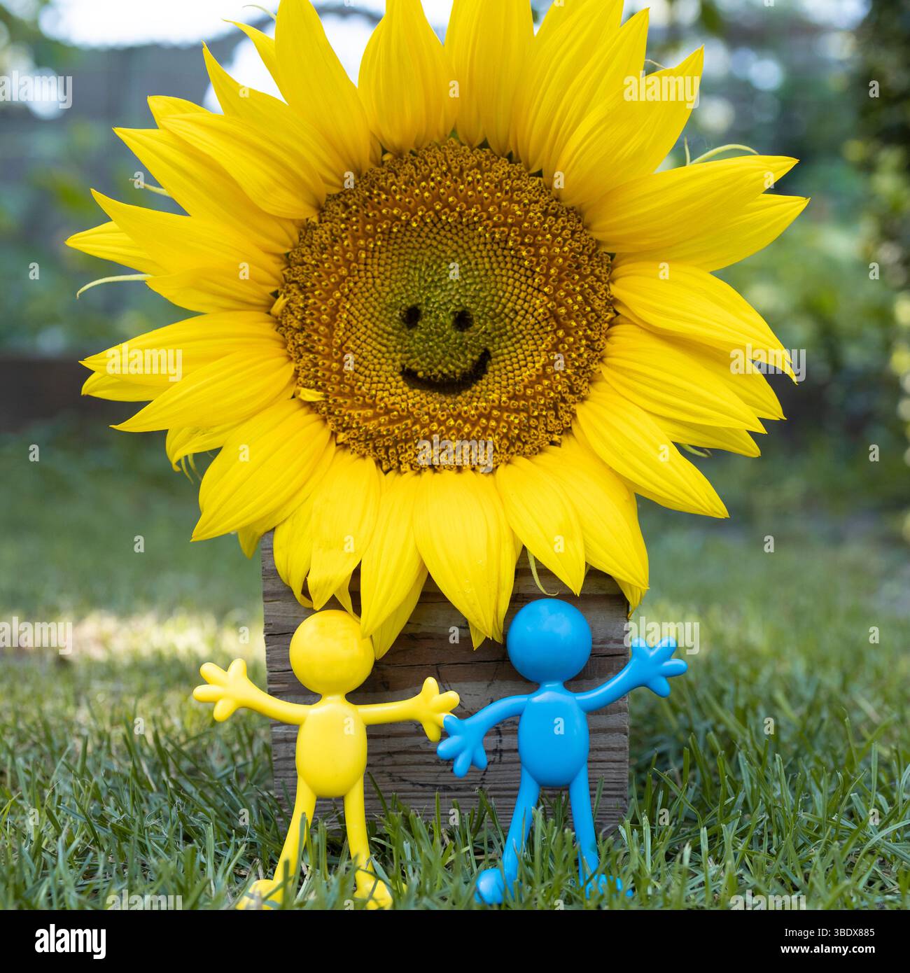 Mini figure hi hi-res stock photography and images - Alamy