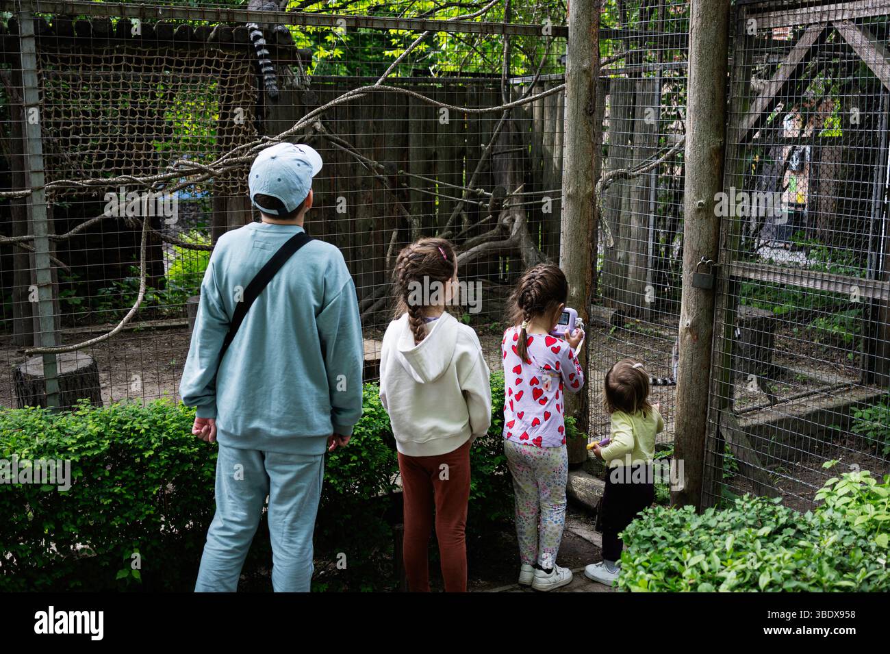 Group of kids enjoying a day at the zoo observing animals in their ...