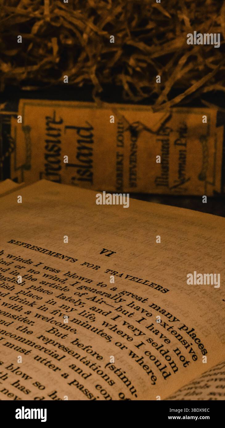 Vintage open book on a straw surface and a classical literature book ...