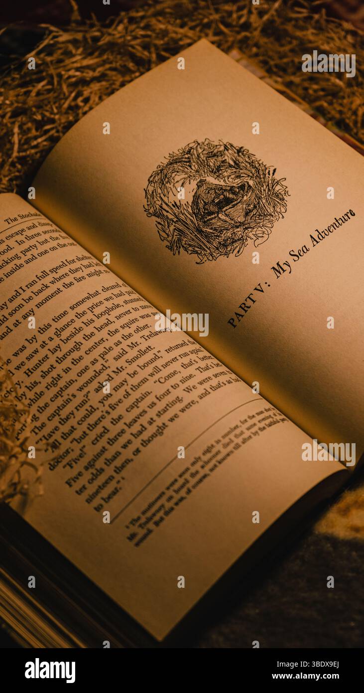 Vintage paper texture with old book aesthetic, weathered manuscript page, antique literature ...