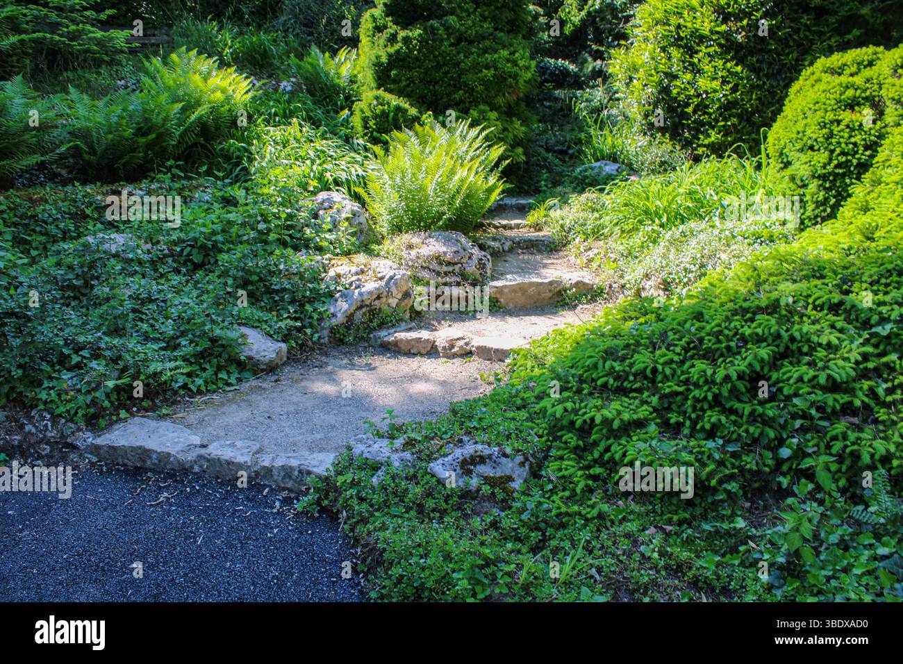 Garden pathway scene serene outdoor hi-res stock photography and images ...