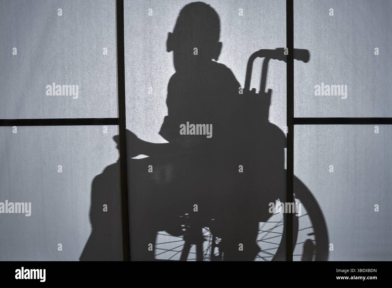 Person Sitting in Wheelchair Behind a Translucent Screen Stock Photo ...