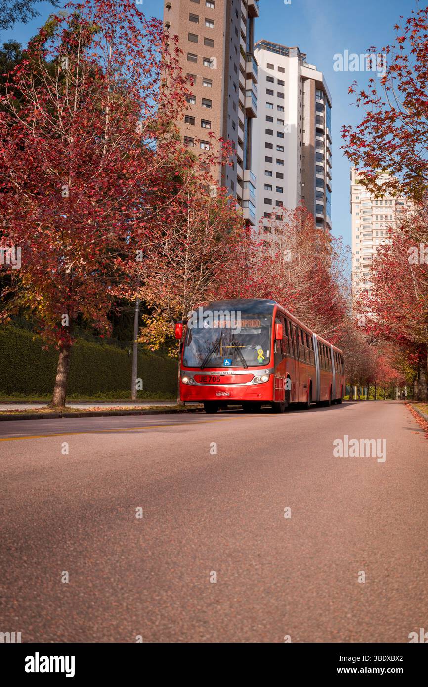 Neobus Mega BRT articulated bus, model 2011 with Volvo B12M chassis ...