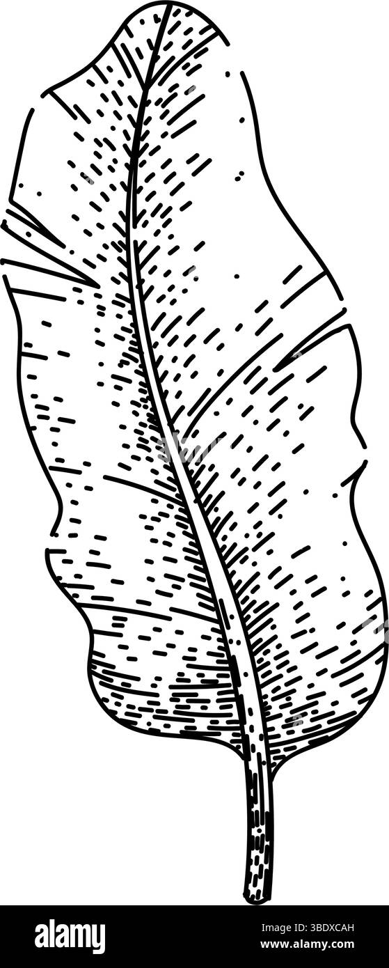 Sustainable plate Black and White Stock Photos & Images - Alamy