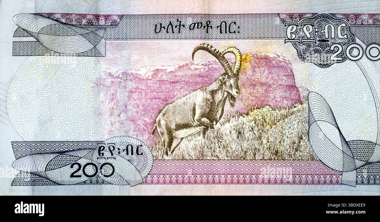 Large fragment of the reverse side of 200 ETB two hundred Ethiopian ...