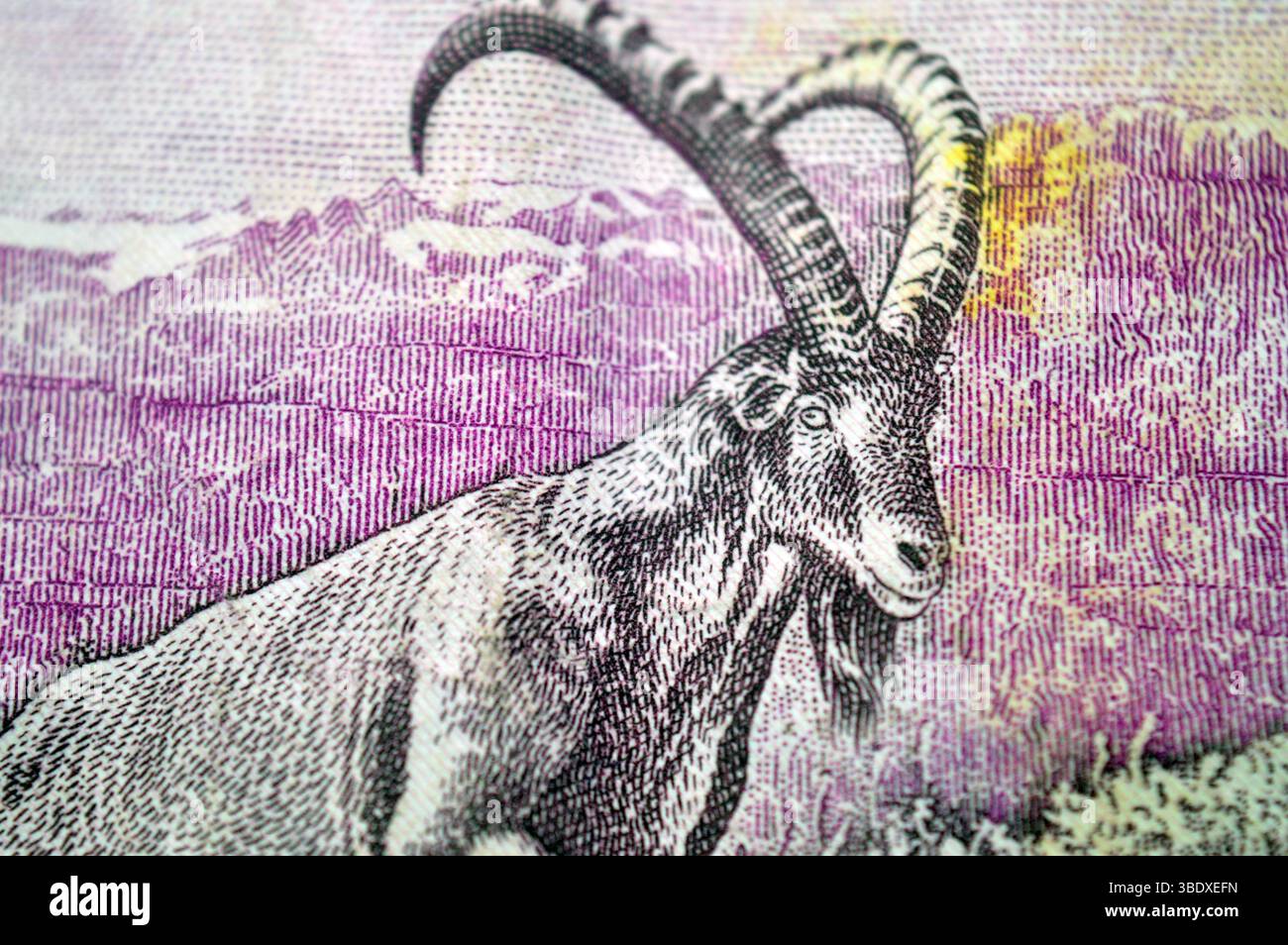 Details from the reverse side of 200 ETB two hundred Ethiopian Birr ...