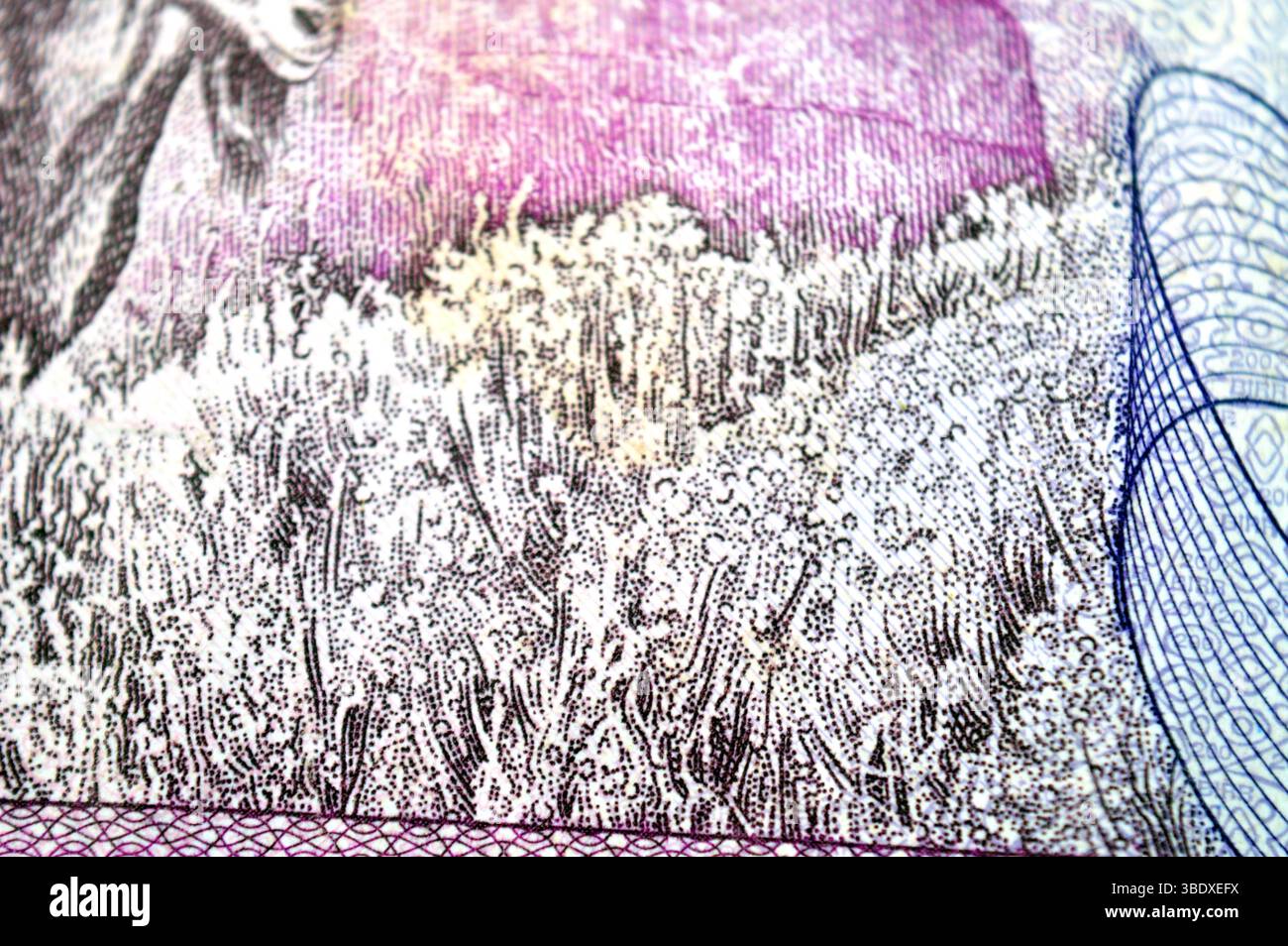 Details from the reverse side of 200 ETB two hundred Ethiopian Birr ...