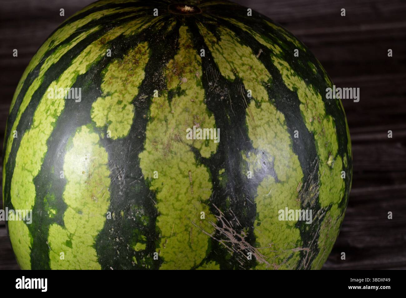 a watermelon with yellow flesh, Watermelon (Citrullus lanatus) is a ...