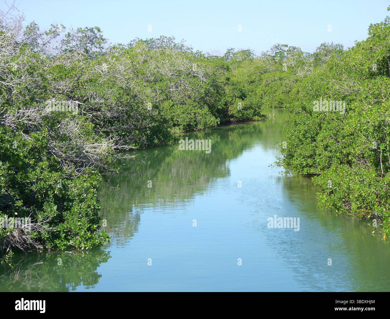 Reserva natural mexico hi-res stock photography and images - Alamy