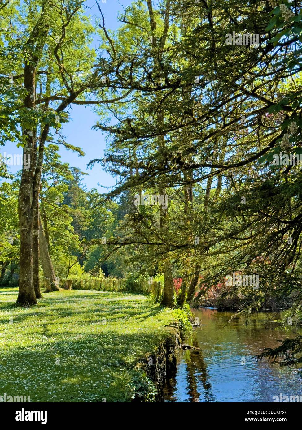 The river Cong flows through the village of Cong in County Mayo Ireland ...