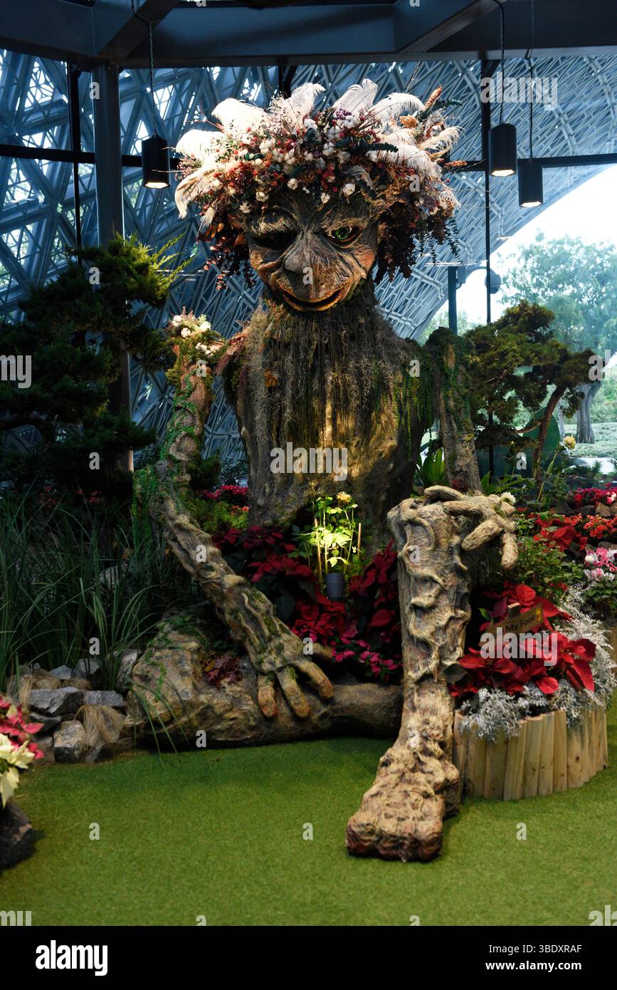 View of flowers and plants inside the Flower Dome at the Gardens by the ...