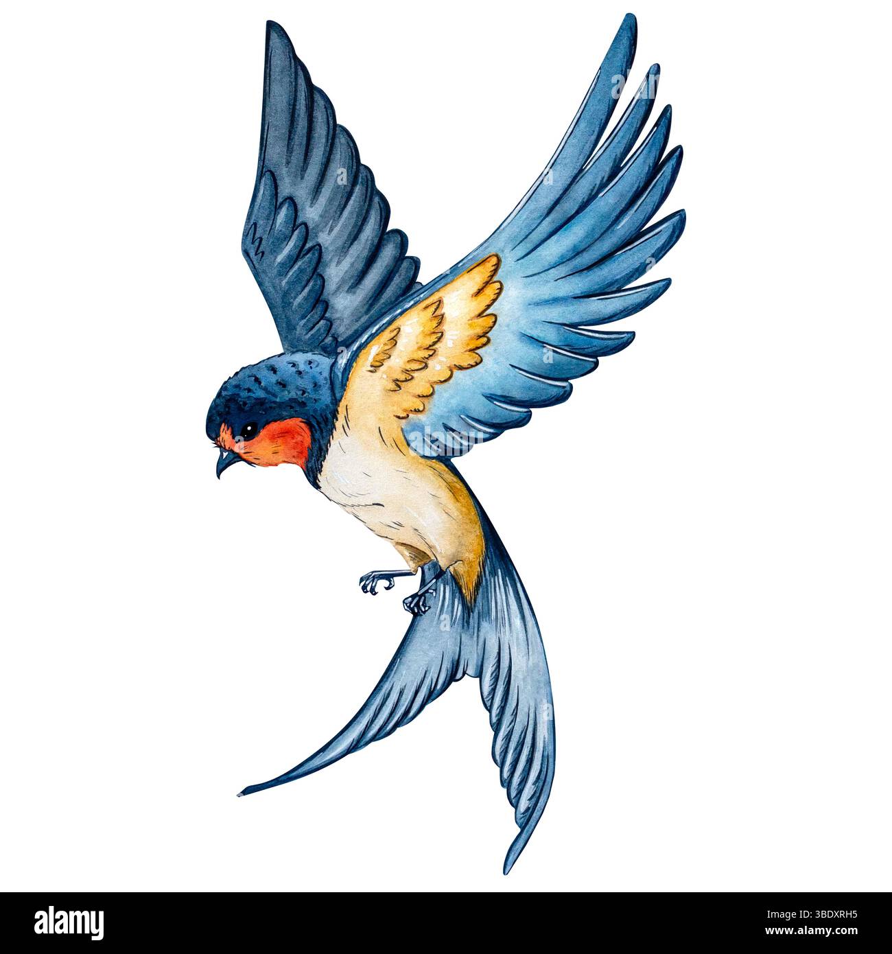 Elegant hand-painted swallow bird in flight. Watercolor illustration ...