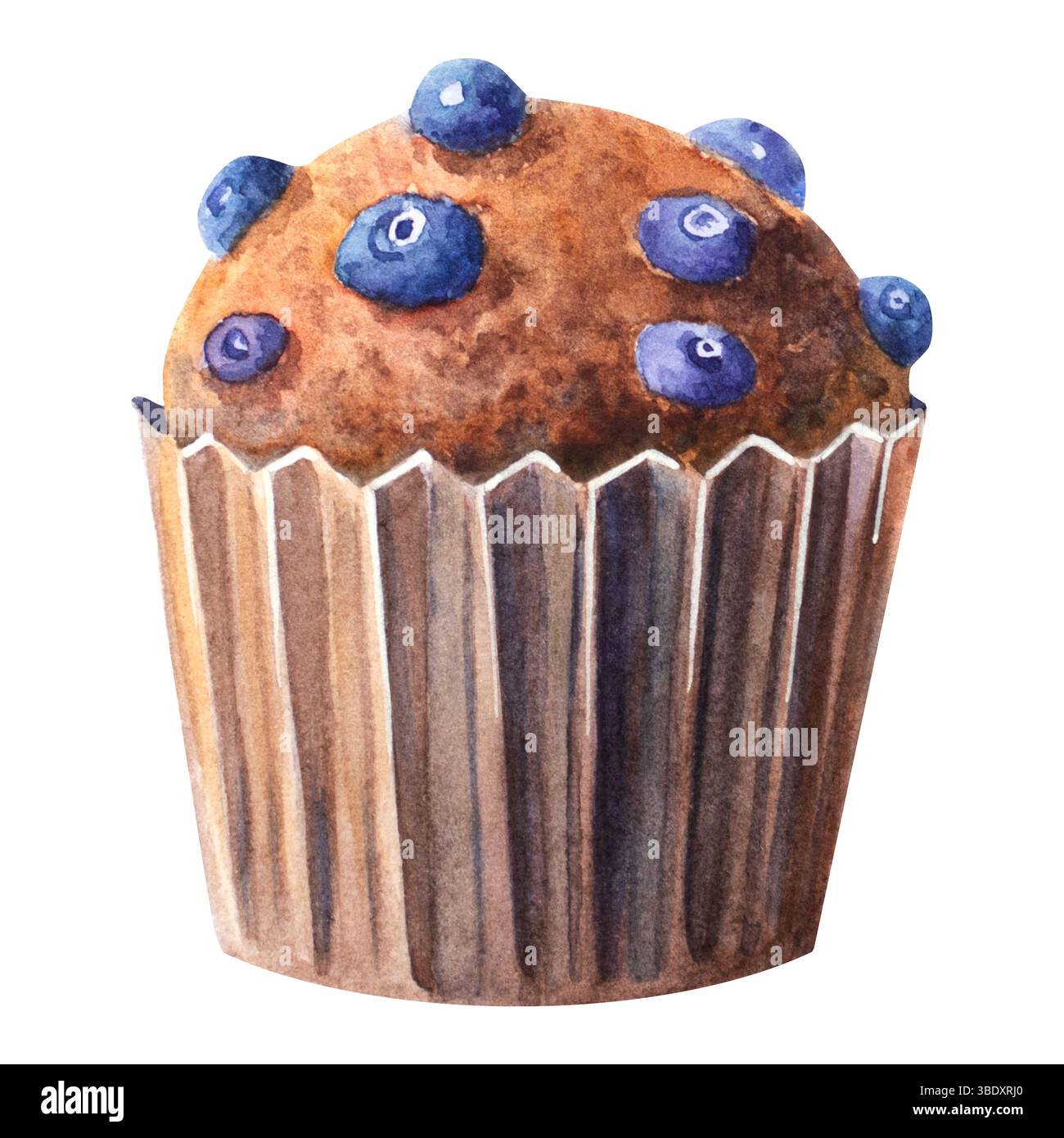 Watercolor Blueberry Muffin illustration art Stock Photo - Alamy