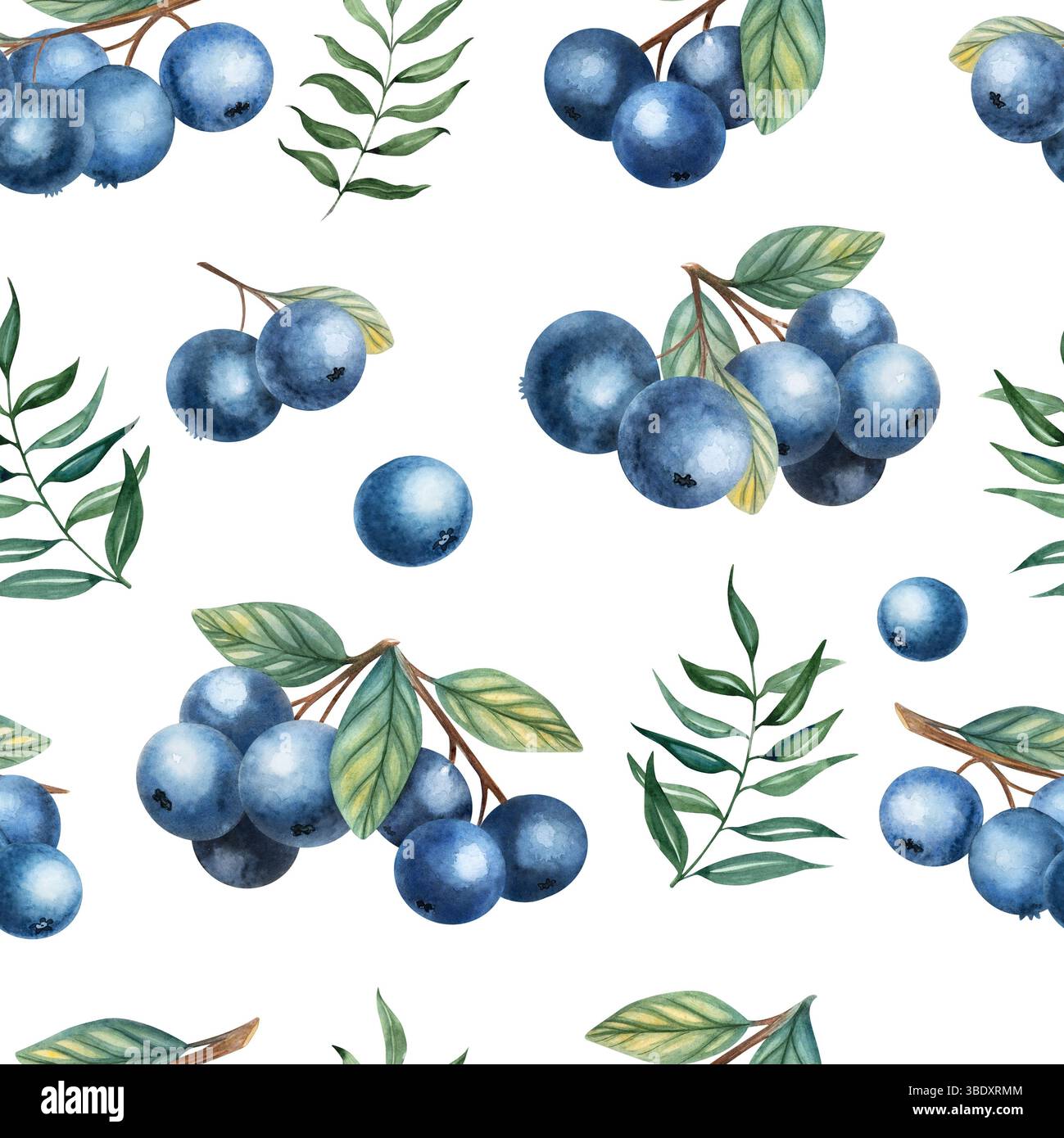 Blueberries pattern seamless Cut Out Stock Images & Pictures - Alamy